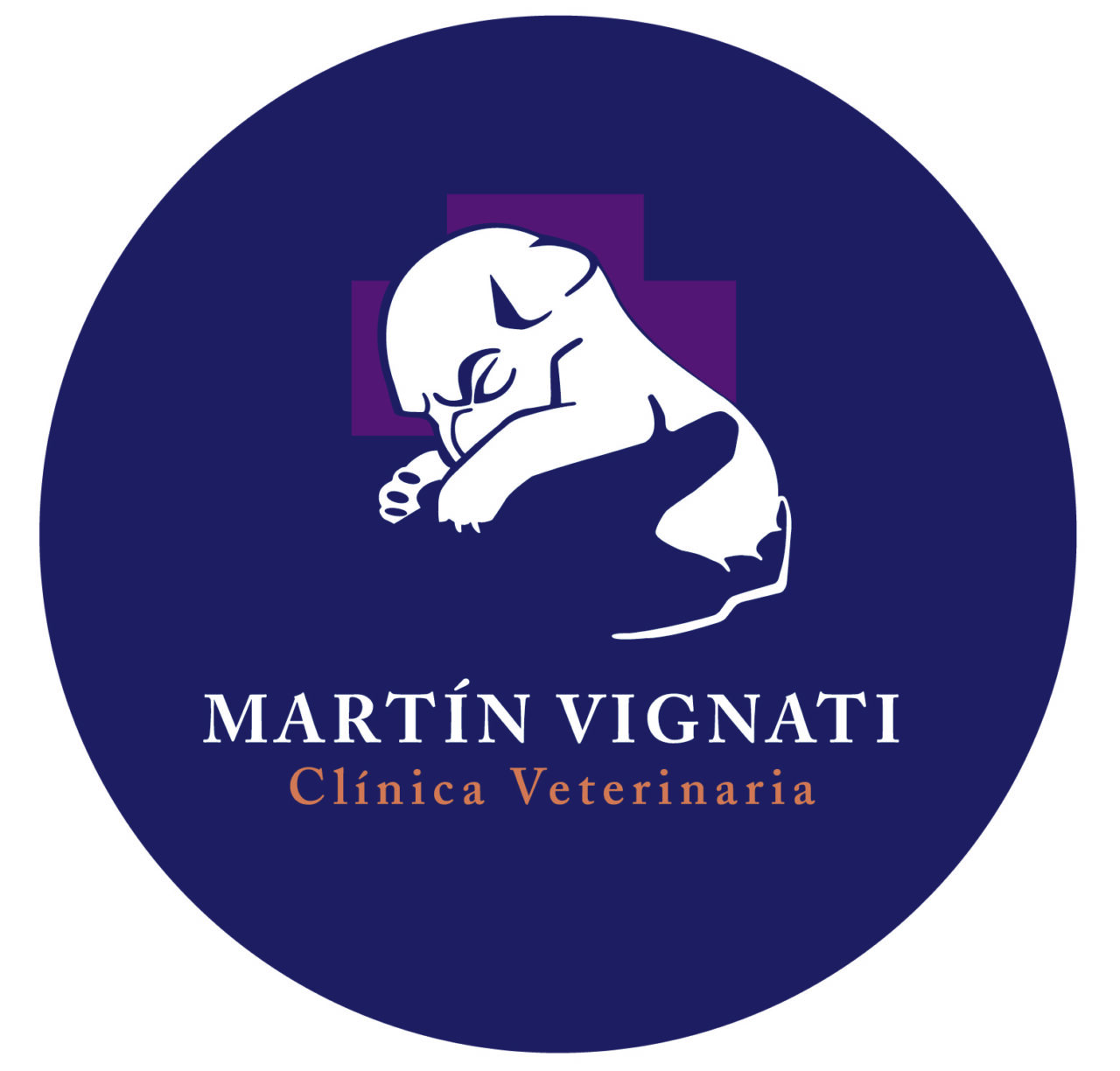 Gana hasta $7,899 diarios con Minería en la Nube Segura – ¡Tu atajo a ...