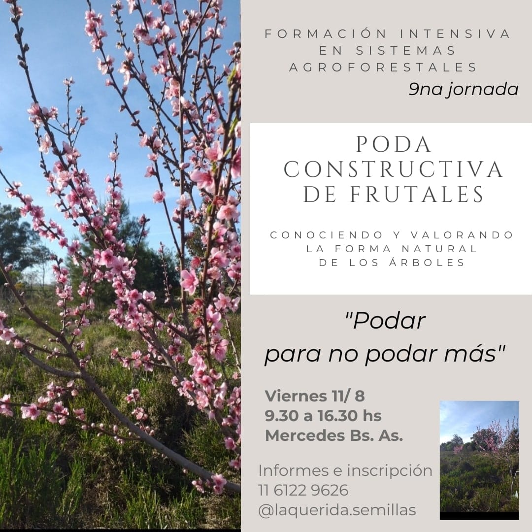 Aprendizaje práctico en poda de frutales para valorar la forma natural ...