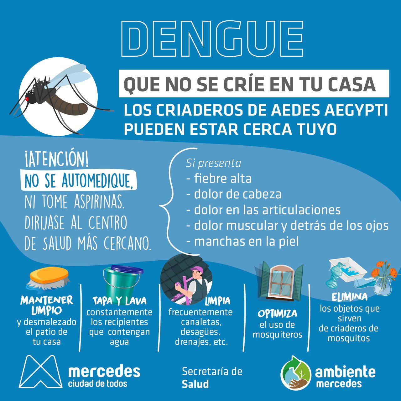 Campaña contra el dengue en la ciudad: cuidados y prevención